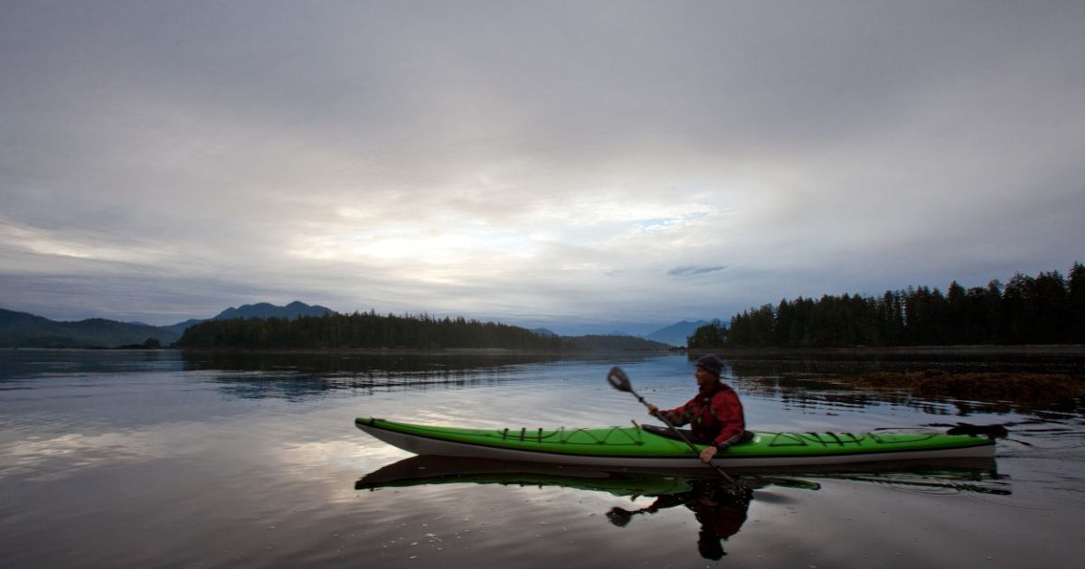 Sea Kayaking and BC Wildlife Videos | West Coast Expeditions